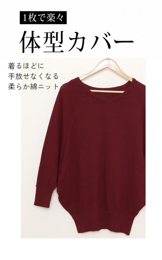 大きいサイズ レディース Vネックドルマンニット wn-0002｜大きい